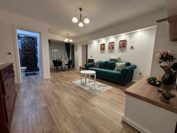Premium Accommodation Classic Style-modern Comfort - Craiova