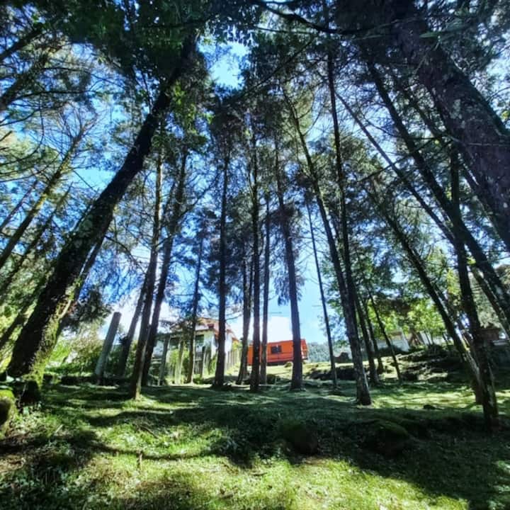 Cabaña Bosque Encantado - Xico