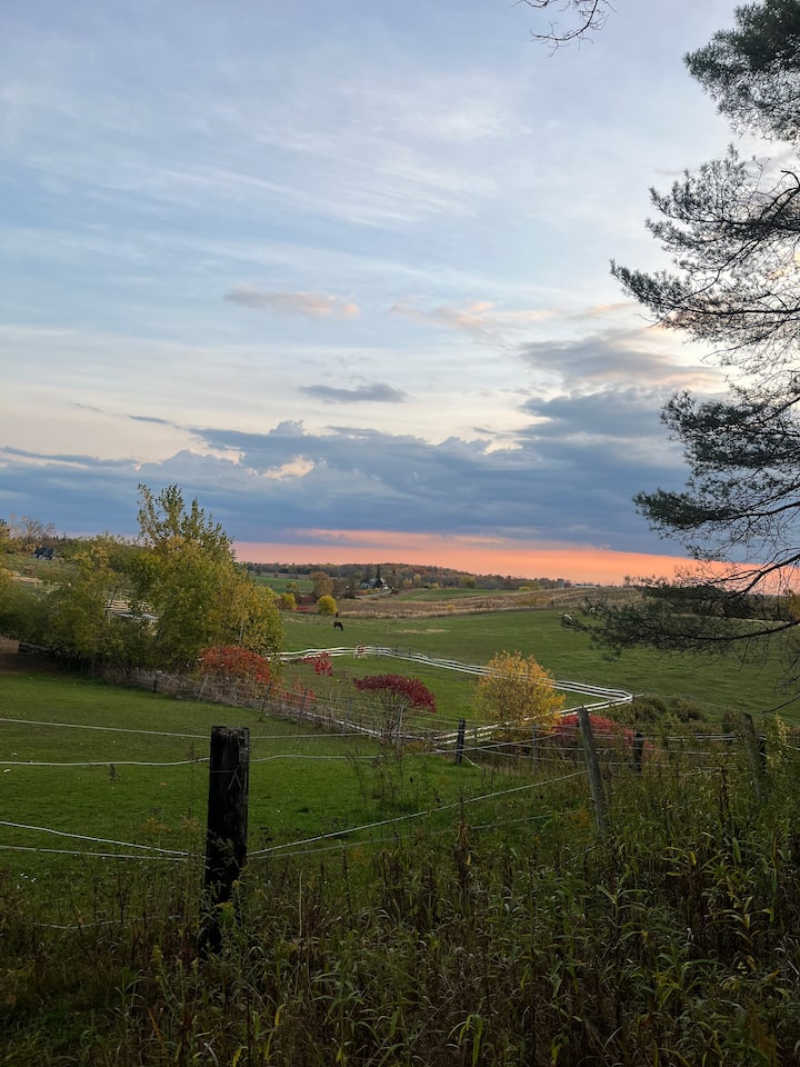 Historical Farmhouse In Rural Countryside - Campbellford