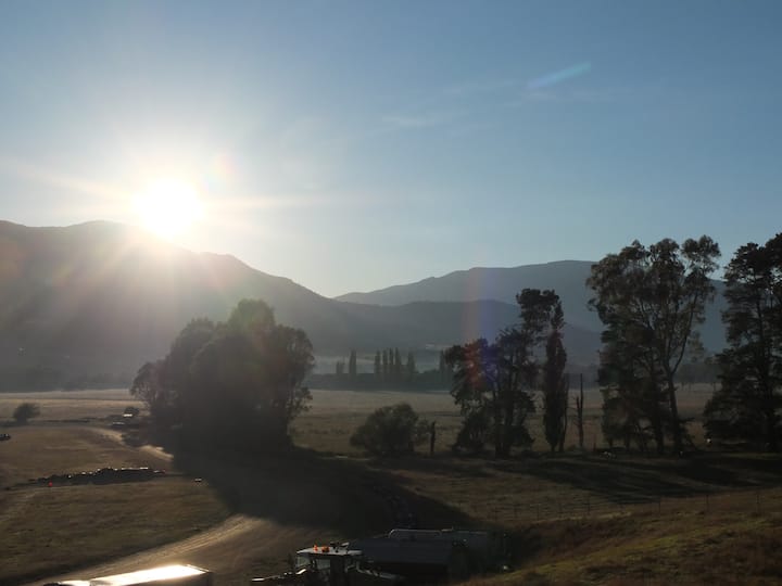 Little Birdy Cabin - Bright