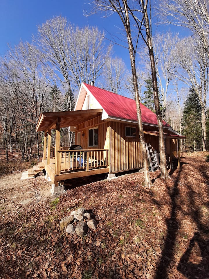 Chickadee Cabin - Ontario 60