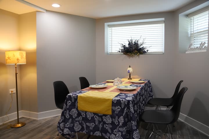 8u Entire Apt Near Downtown Chicago - Chicago