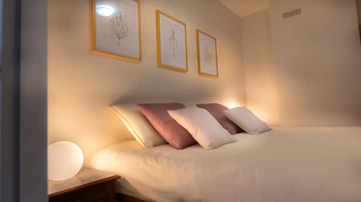 Proche Sanctuaires-confort Premium-parking Facile - Lourdes