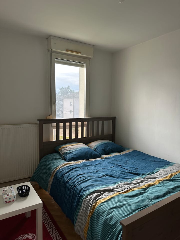 Chambre Lit Double, à 15 Minutes Du Marché De Noël - Straatsburg