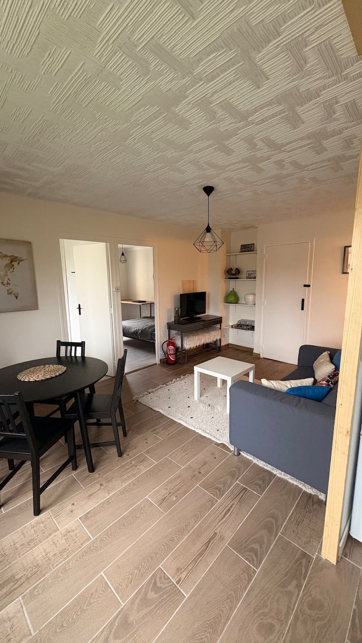 Appartement Rénové, Lumineux & Entièrement éQuipé - Grenoble