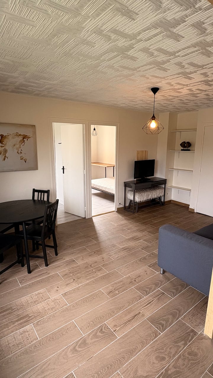 Appartement Rénové, Lumineux & Entièrement éQuipé - Grenoble