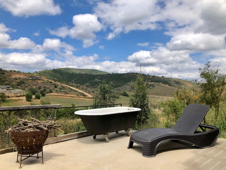 The Cave Of Wine, Experiencia Y
Diseño Natural - Casablanca