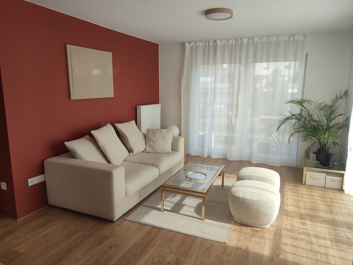 Chambre D'hôtes Dans Petit Immeuble Calme - Strasbourg