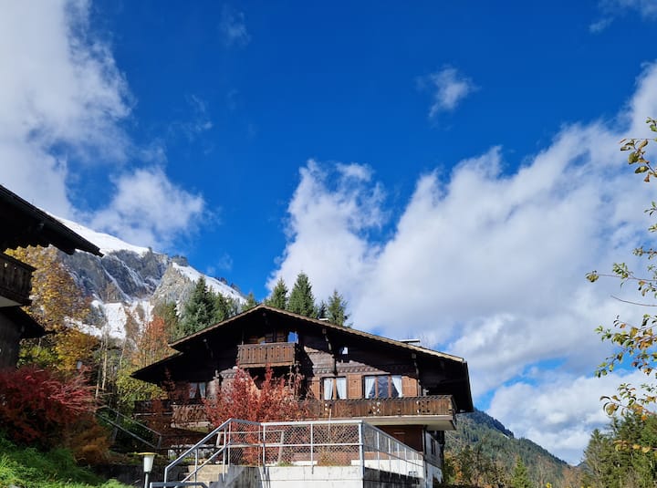 Chalet Waldchutz - Ferienwohnung - Lenk