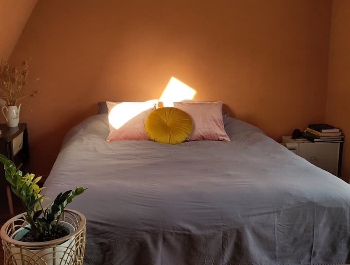 Charming Two-floor Suite In Historic Oud-charlois - Róterdam