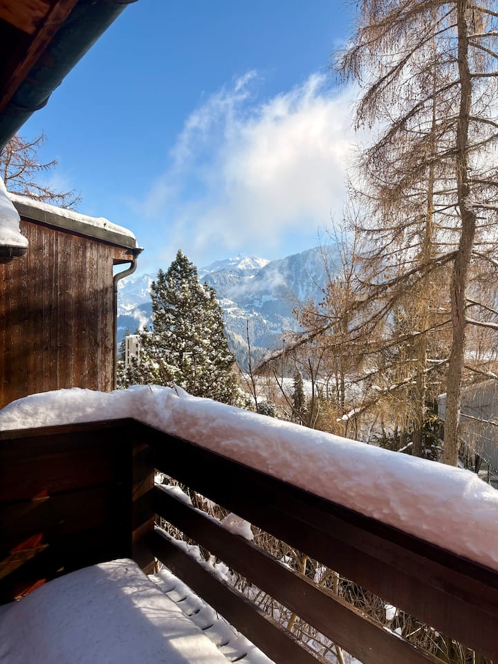 Le Refuge:charmant Studio à Côté Des Pistes De Ski - Leysin