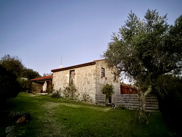 Ferme Au Cœur Du Portugal - Celorico da Beira