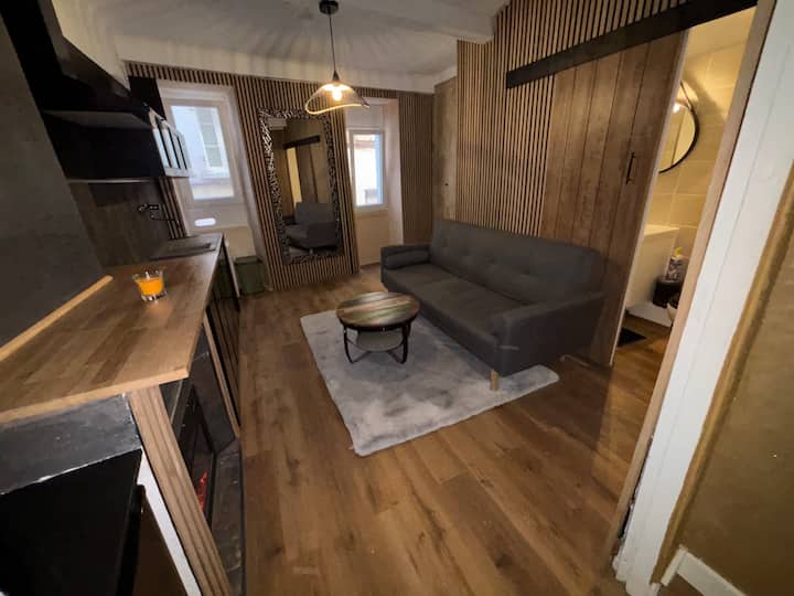 Appartement Vieux Hyères - ibis Thalassa Hyeres Plage