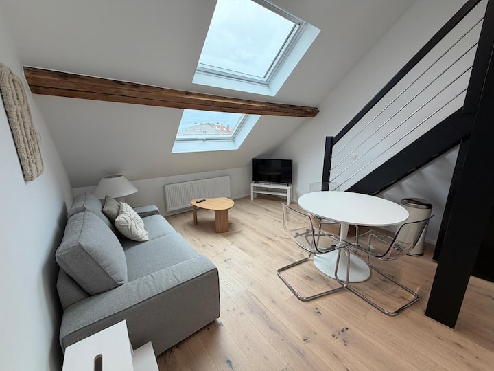 °6 Modern Suite In A Chic Area - Bryssel