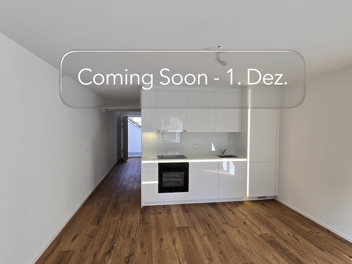 Swissvida Modern Apartment | Airport Zurich - Zurique