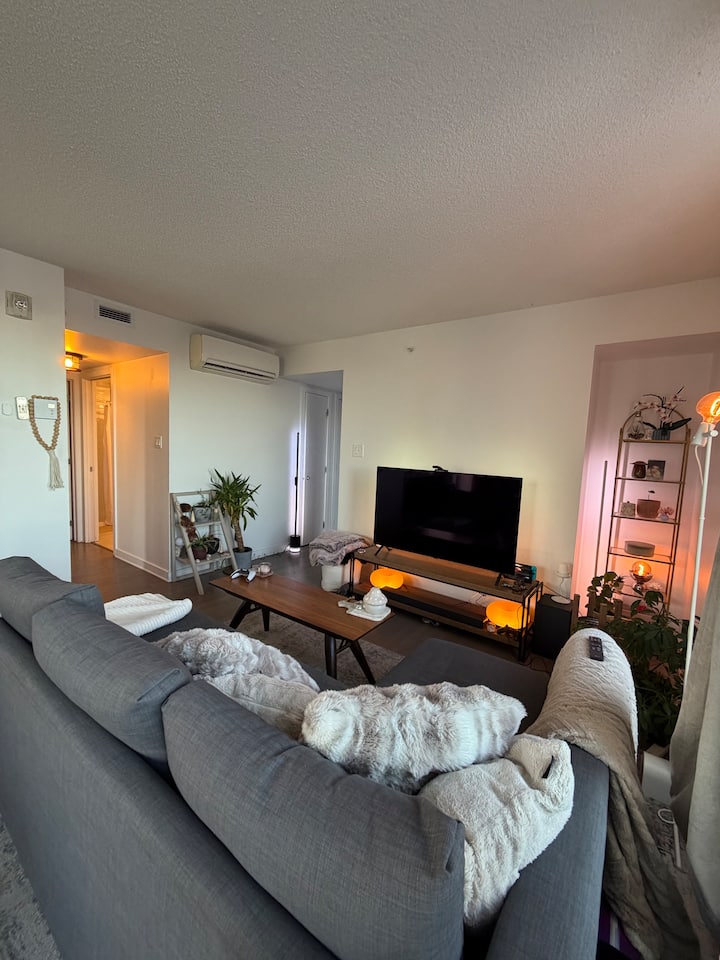 Appartement Spacieux Et Double Terrasse - Montreal