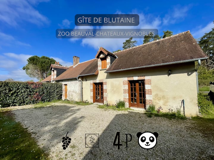 Gîte De Blutaine /Cheverny-beauval&chambord - Cheverny