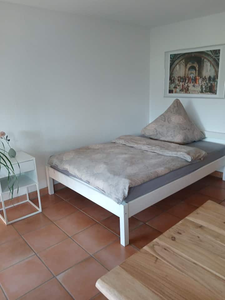 Ferienwohnung Remy - Villingen-Schwenningen