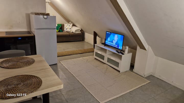 Appartement Cosy 5 Min De Rennes - Rennes
