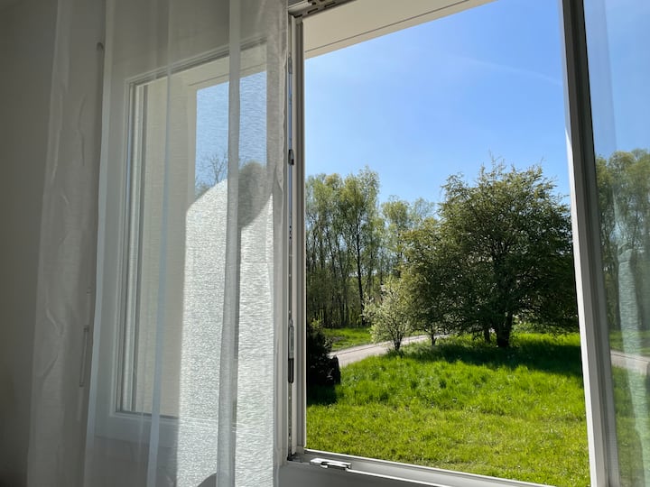 Collina - Calme-lumineux-proximité Marchés De Noël - Ottmarsheim