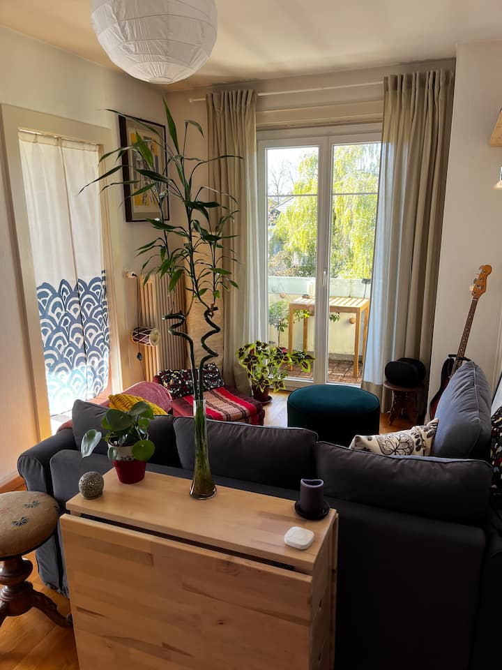 Cozy Apartment In Lausanne Center - Lausanne