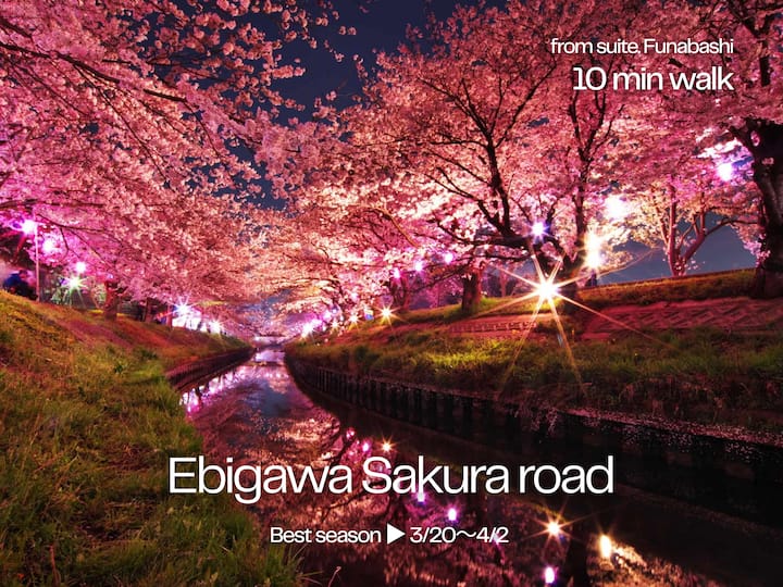 新築｜28㎡3名｜本物の桜の木｜ディズニー｜成田45分｜繁華街｜船橋駅歩7分｜sakura1#102 - Funabashi