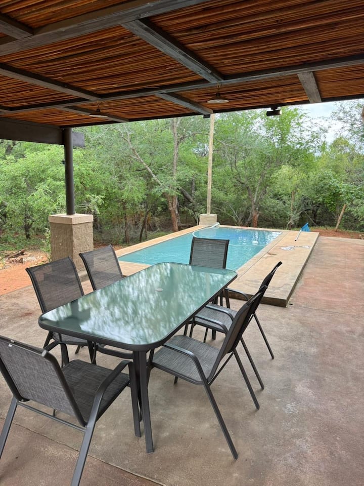 Wonderviews Hedgehog - Marloth Park