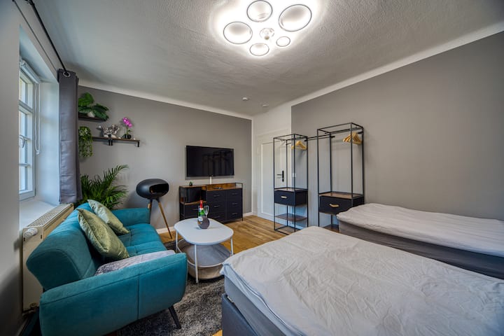 Dresdenstay 3 Br Near Uni Balcony Fireplace Ps4 - ドレスデン