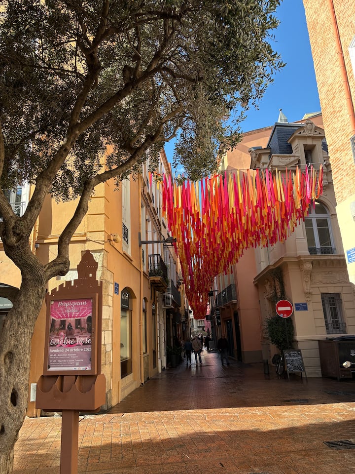 Logement Entier Tout Confort Pour 6-8 Personnes - Canet-en-Roussillon