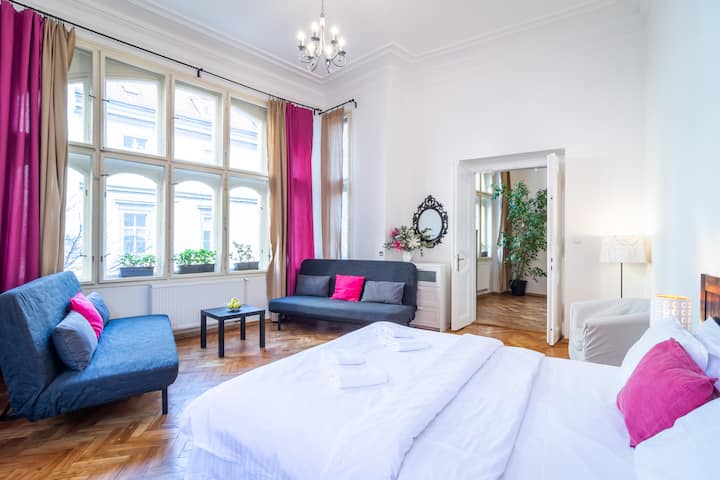 Bright One-bedroom With City Views - Praag
