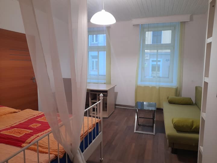 Gästeapartment Mit Zwei Badezimmern - Wien