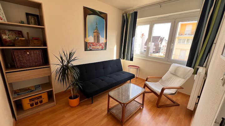 Appartement Galerie En Hyper-centre De Colmar - Eguisheim