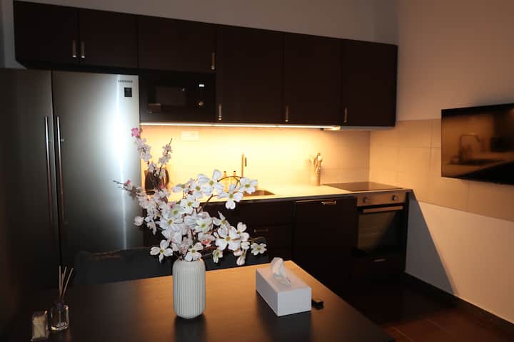 Apartment B1 Close To Center - Praga