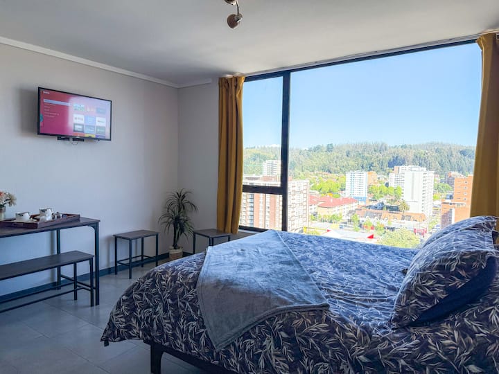 Moderno, Tranquilo Y Con Excelente Ubicación - Concepción