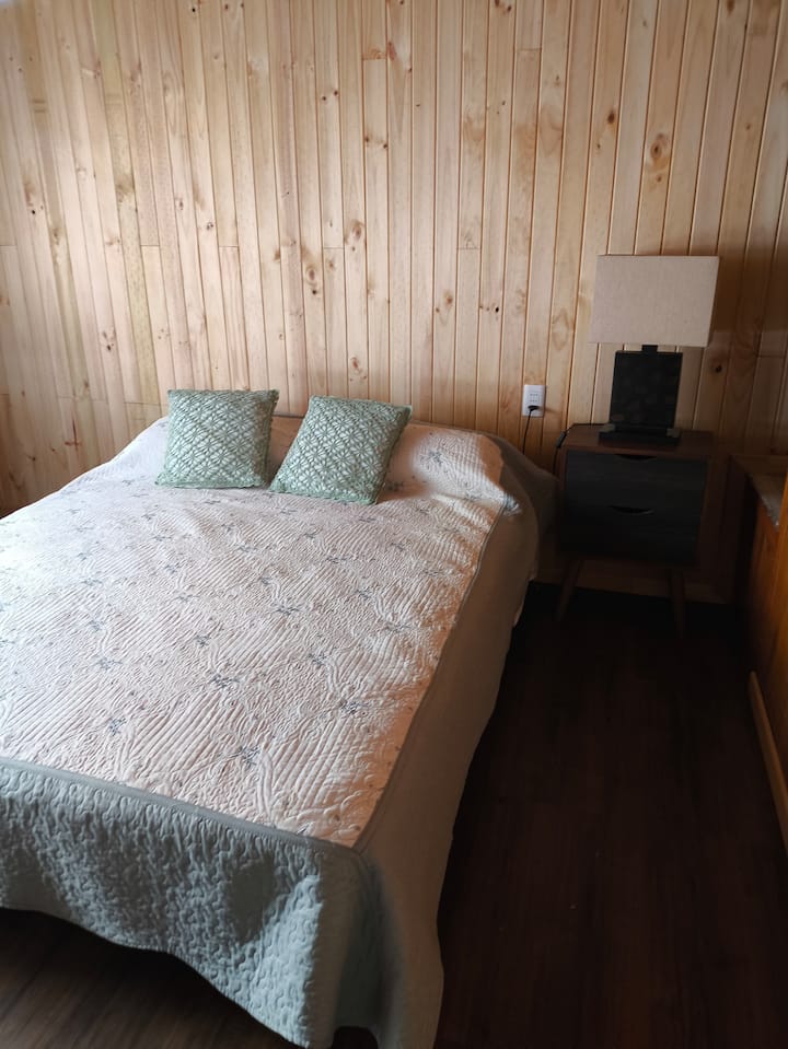 Monoambiente Muy Central, Cómodo Y Luminoso. - Pucón