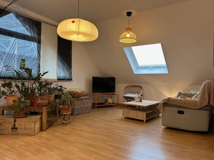 Appartement Haguenau Proche Gare Et Centre Ville - Haguenau