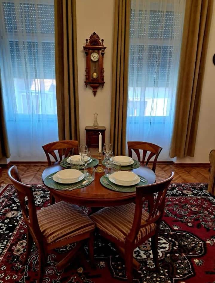 Weisz Castel Style Apartment Citycenterfreeparking - Carei