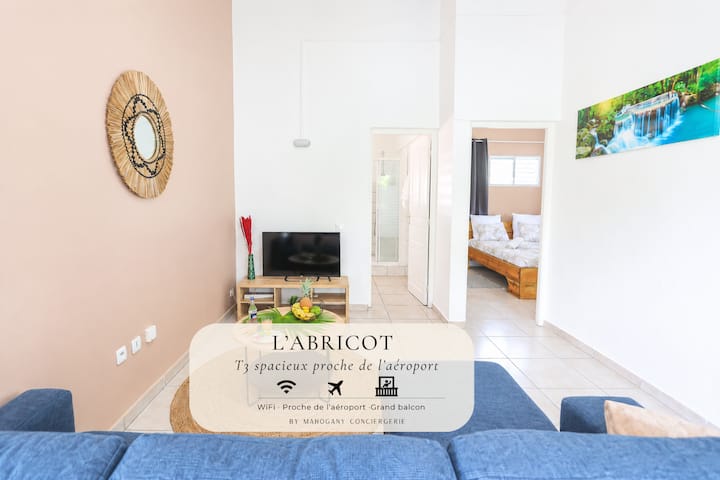 Large, Quiet Two-bedroom Apartment With Large Balcony & Close To The Airport - Guadalupa