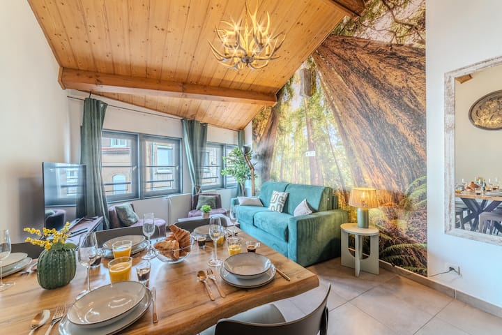 T3 Amérique Du Nord 4/6p-centre-ville St ÉTienne - Saint-Etiénne