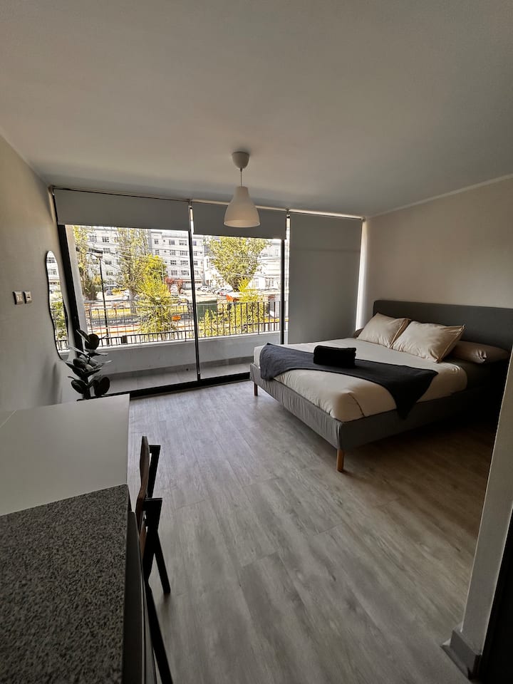 Depto. Estudio Frente Hospital U. De Chile. - Independencia