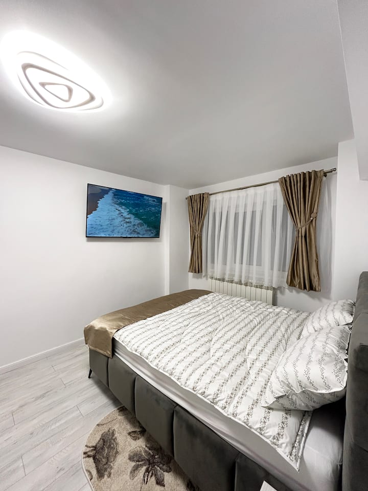 Modern Studio Cetate - Straja