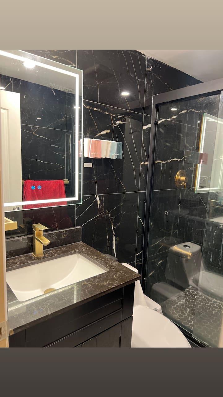 New 1 Bedroom Spacious Unit In A House - Pickering