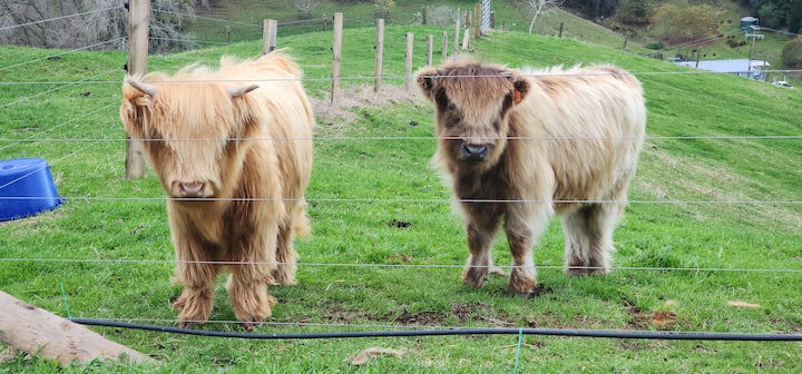 Misty Valley Hilltop Farmstay - Off Grid Retreat - Otorohanga