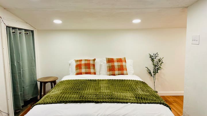 Studio Near Kendall&mit. Green Line To Back Bay - Cambridge, MA