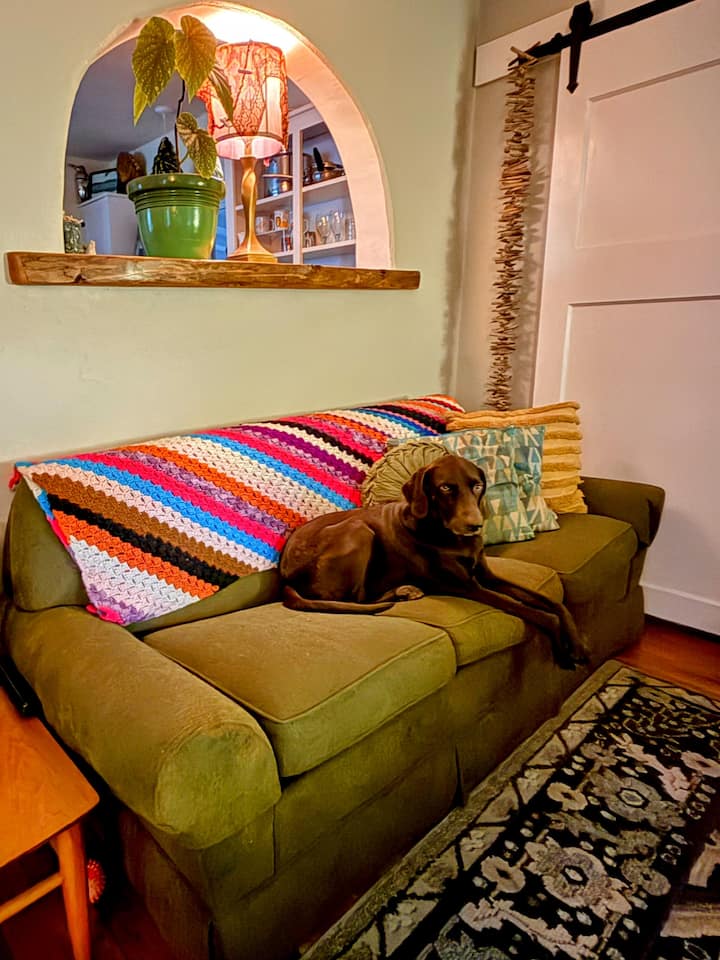 Artist’s Cozy Cottage - Hot Springs, MT