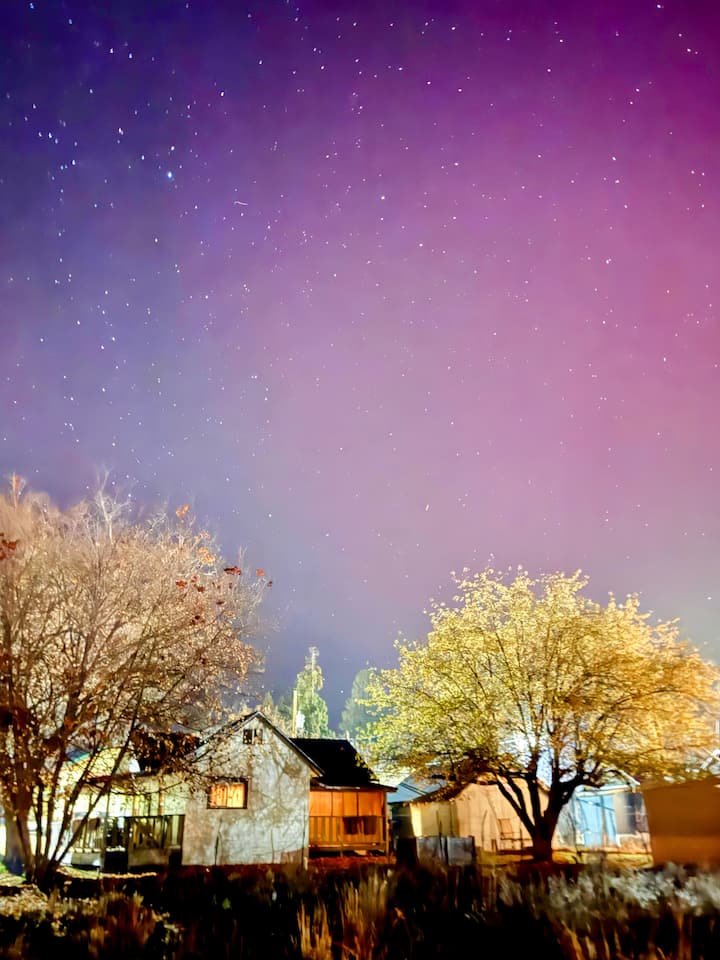 Artist’s Cozy Cottage - Hot Springs, MT