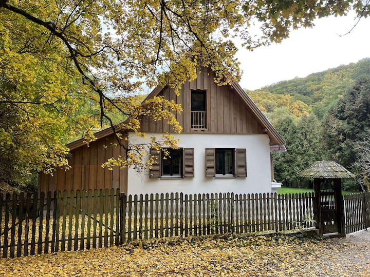 Királyréti Vendégház - Börzsöny