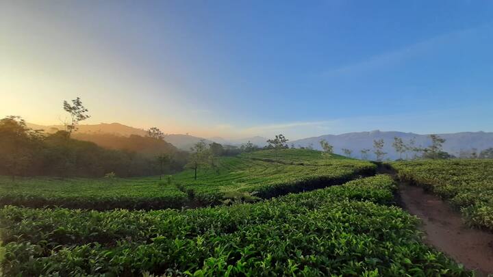 Getaway With Mmj - Vagamon