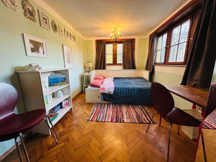 Zimmer Mit Blick Ins Grüne, Ruhig Und Zentral - Stuttgart