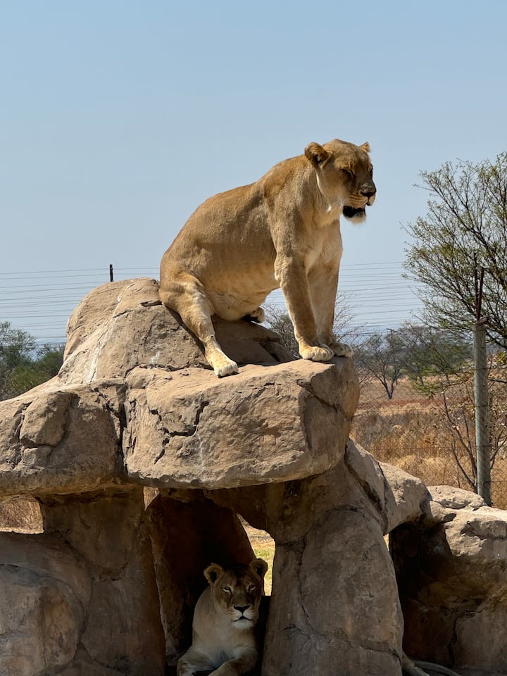 Authentic Farm Stay Between The Roar Of The Lions - Vaalwater